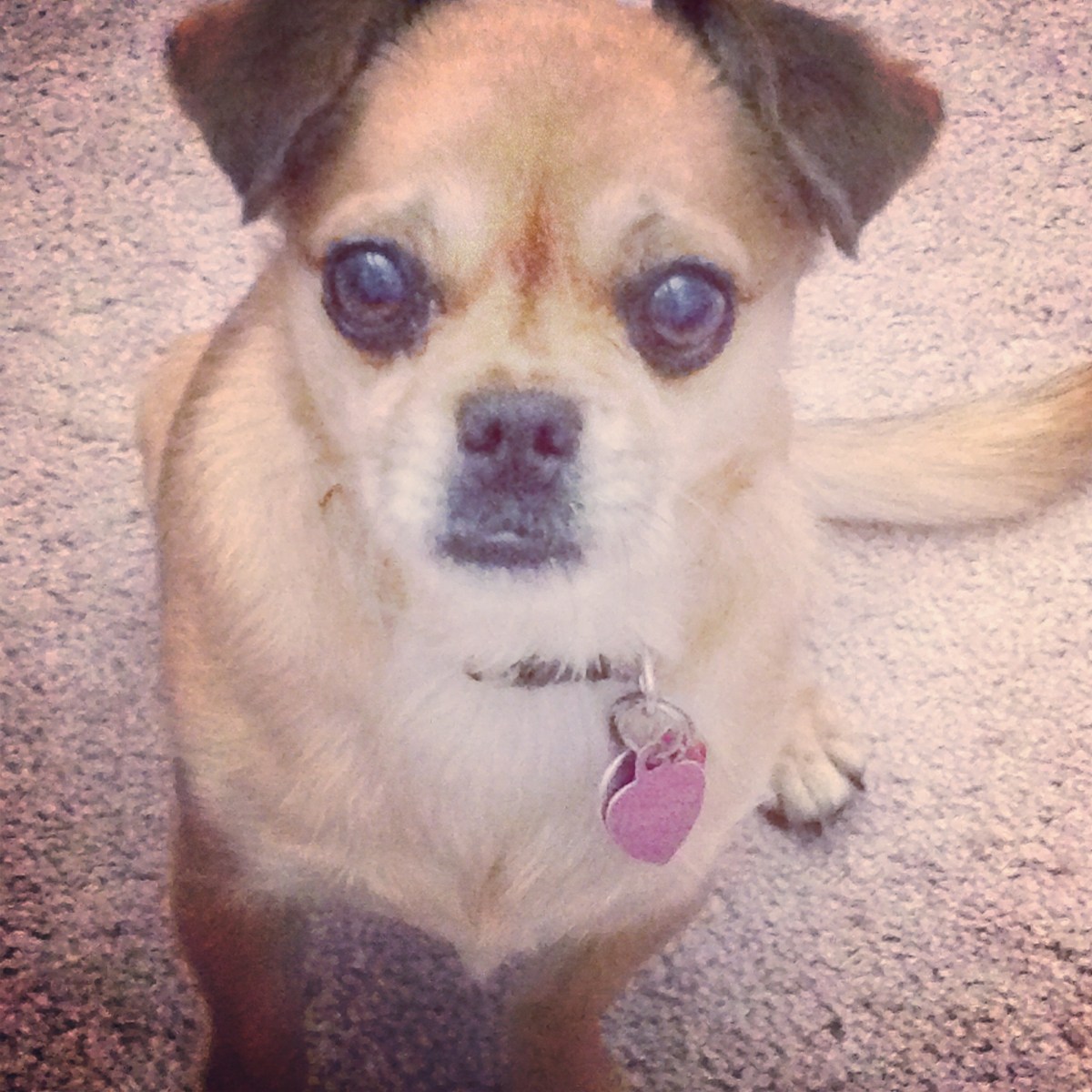 R.I.P. Falcor | Eric Filipkowski